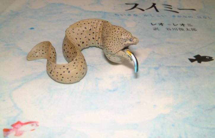 スイミーに出てくる『うなぎ』は『ウツボ』の間違いでは！？